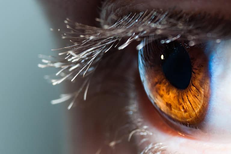Occupational Therapy for Low Vision - Elite Learning